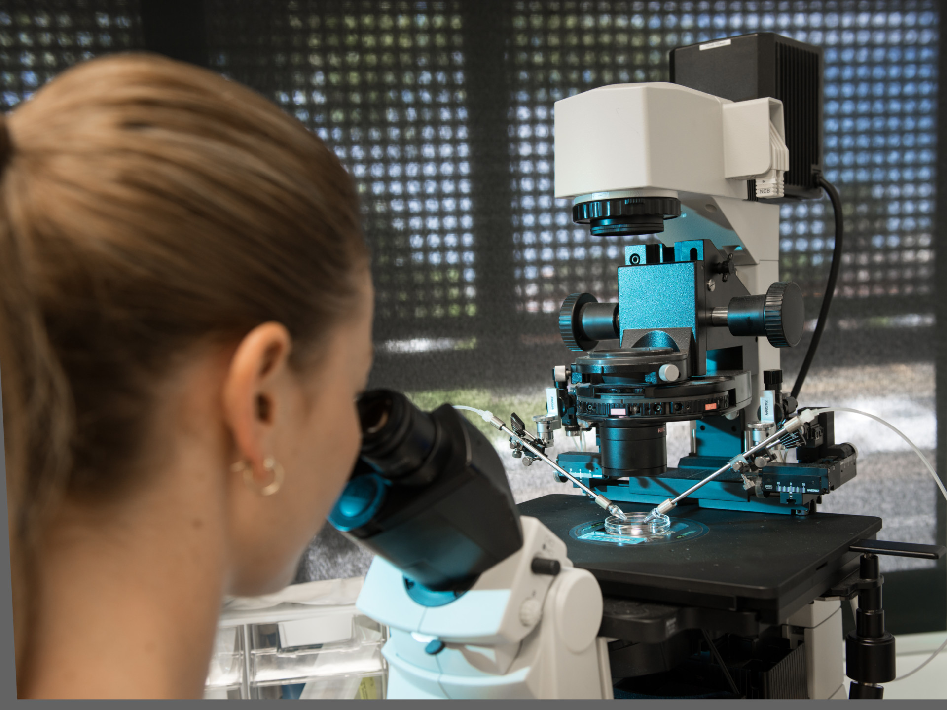 In Vitro Fertilisation (IVF) - Eeve Donor Bank